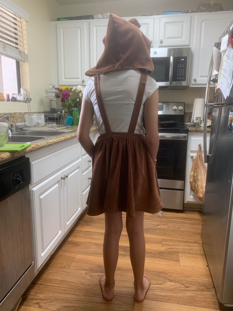 Japanese Cute Bear Lolita Dress - PokeKawa